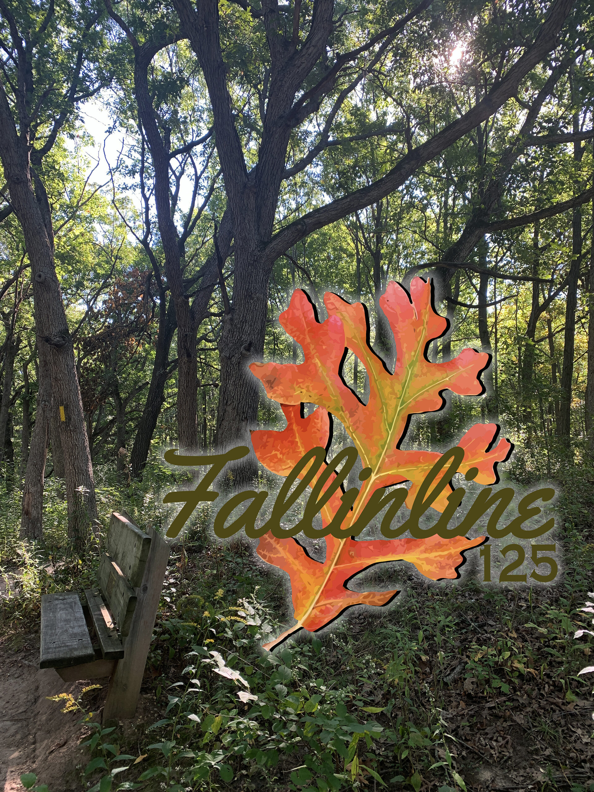 Fallinline - TYDISH Running